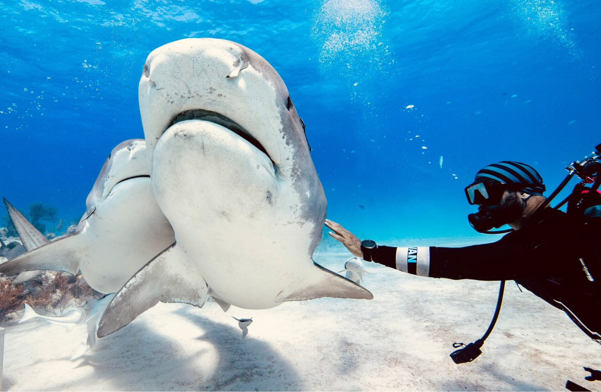 Dare to Live Fully: How Dr. Ivan Rusilko's lifestyle medicine is ...