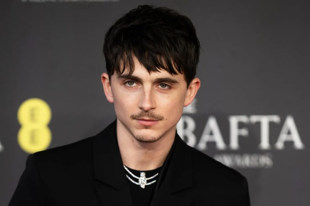 Is This Mysterious U.K. Rapper Actually Timothée Chalamet?