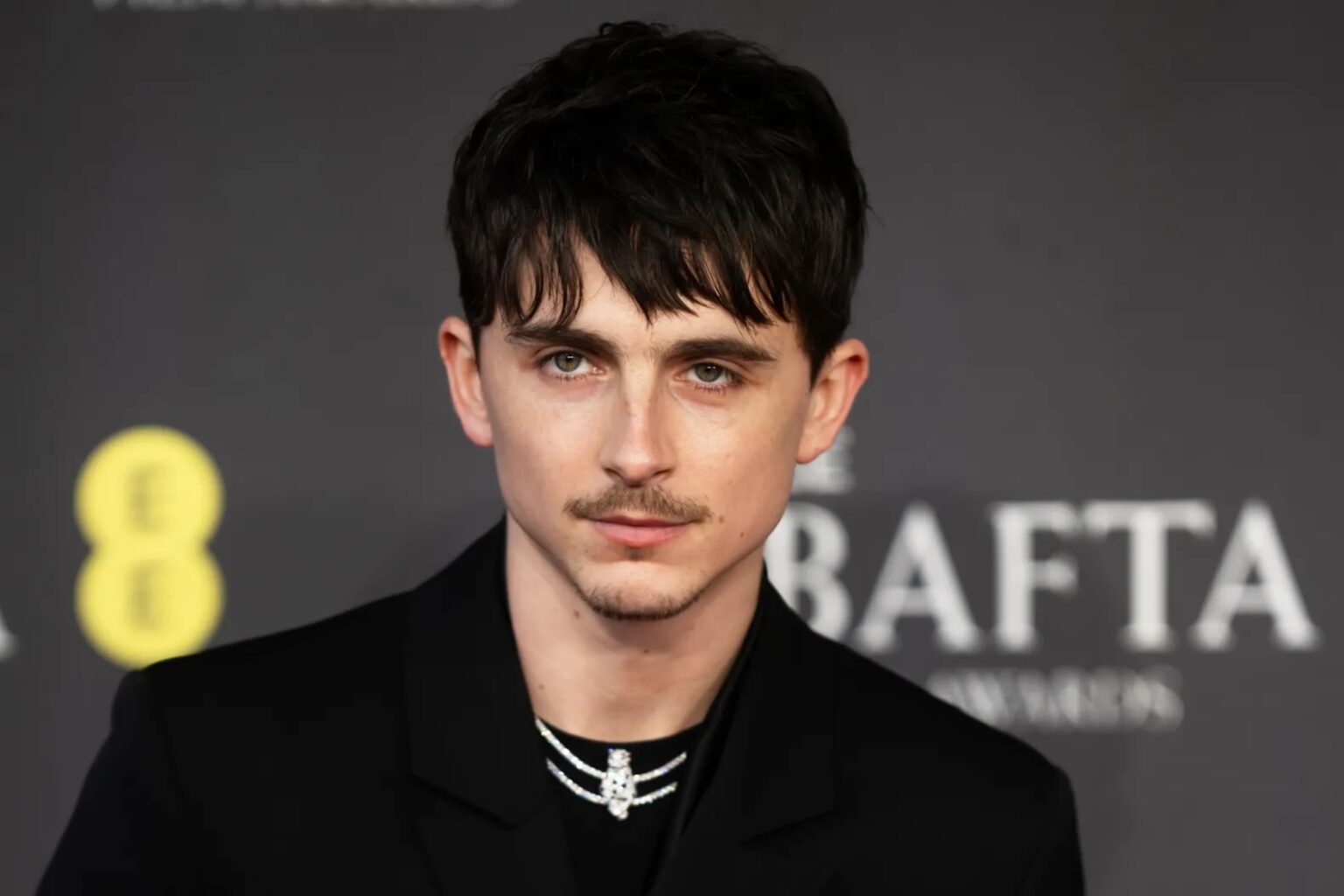 Timothée Chalamet Won’t Confirm or Deny if He’s the Mysterious ...